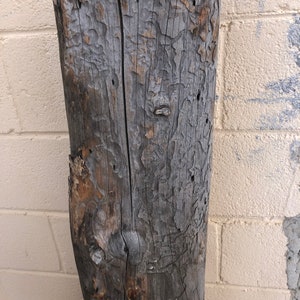 Wood Log With Character, Stylish Rustic Reclaimed Post, Beetle Tracked ...