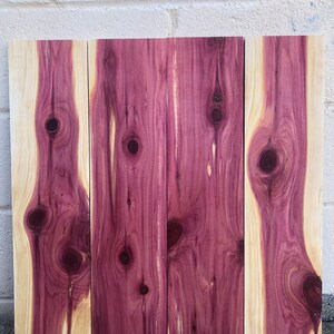 Eastern Redcedar, Juniper, Fragrant Aromotic Wood, Cypress Tree ...
