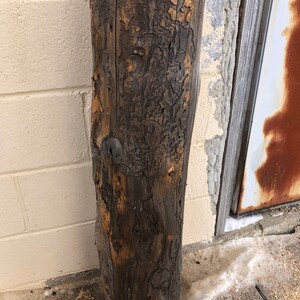 Wood Log With Character, Stylish Rustic Reclaimed Post, Beetle Tracked ...
