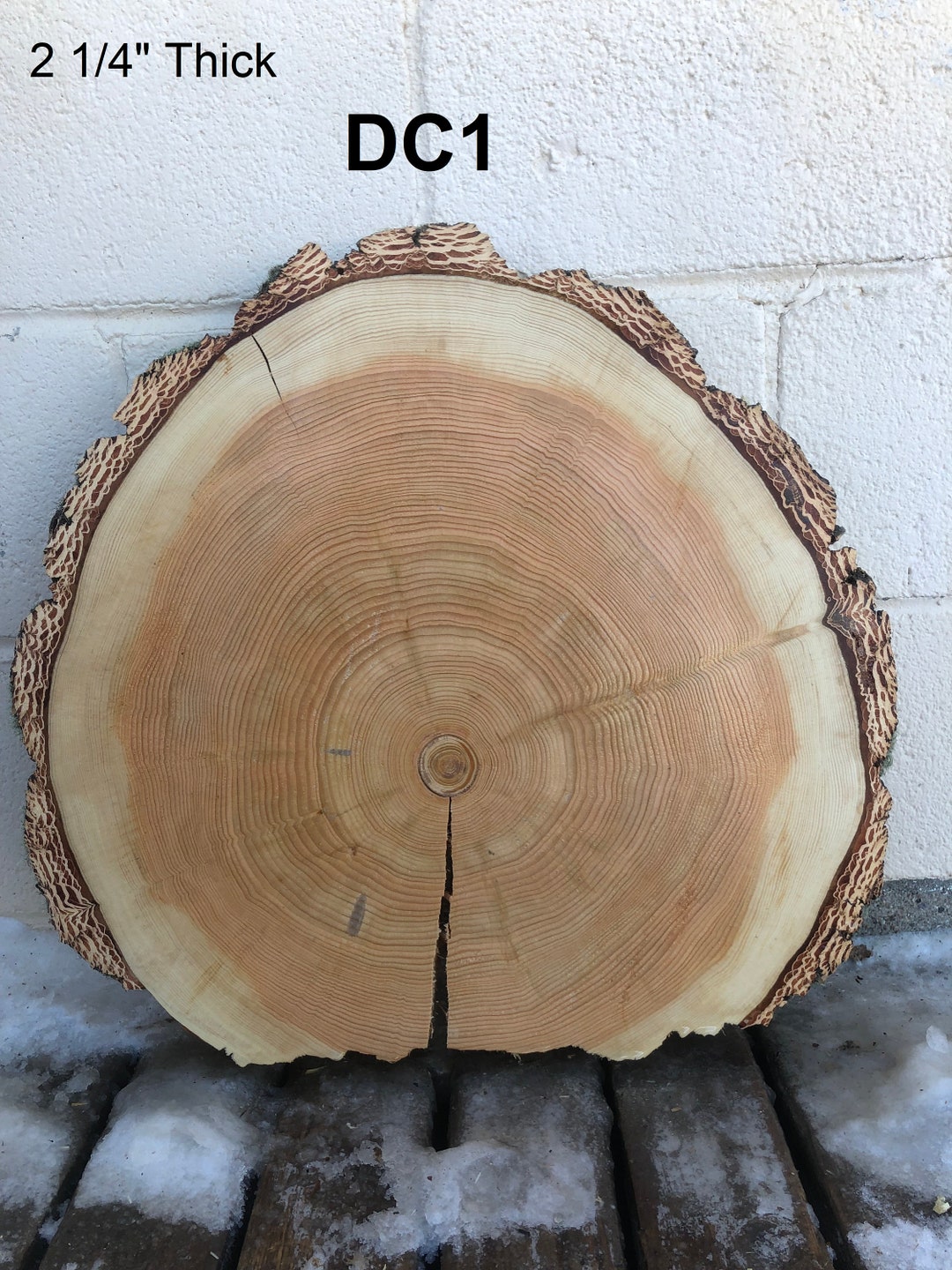 Douglas Fir Cookie Slices, Live Edge Rounds of Wood, 1"-2"-3" Thick ...