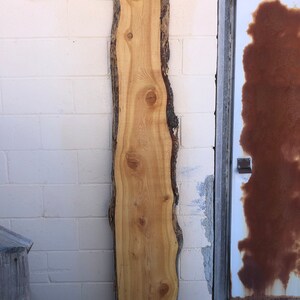 Big Large Thick Wood for Building, Beams, Planks, for Making Stair ...