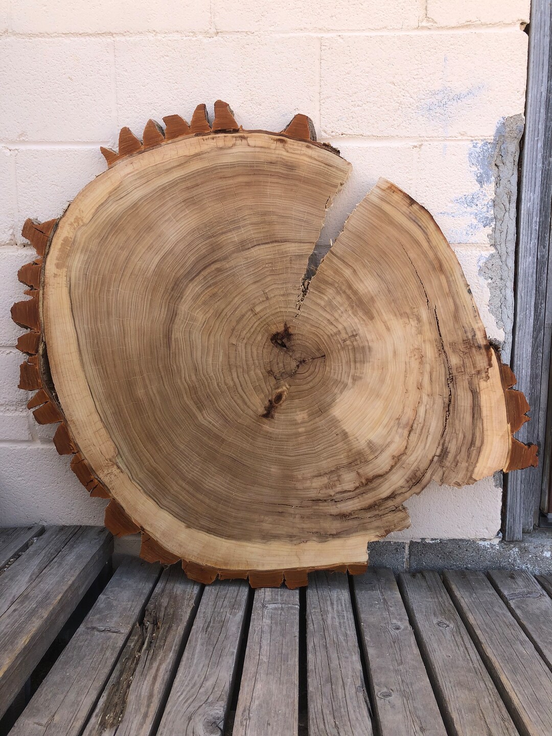3 Foot Round Wood Slice, Cookie, Live Edge Bark, Very Big and Large ...