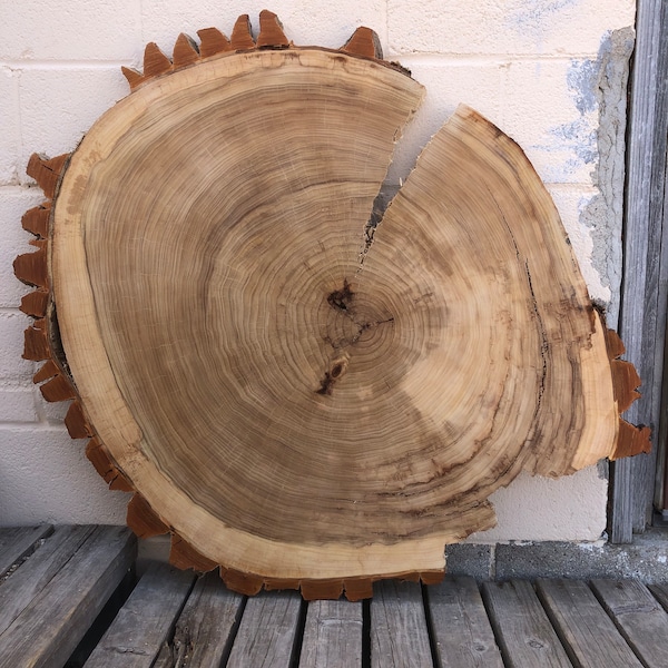 Large Wood Slices - Etsy