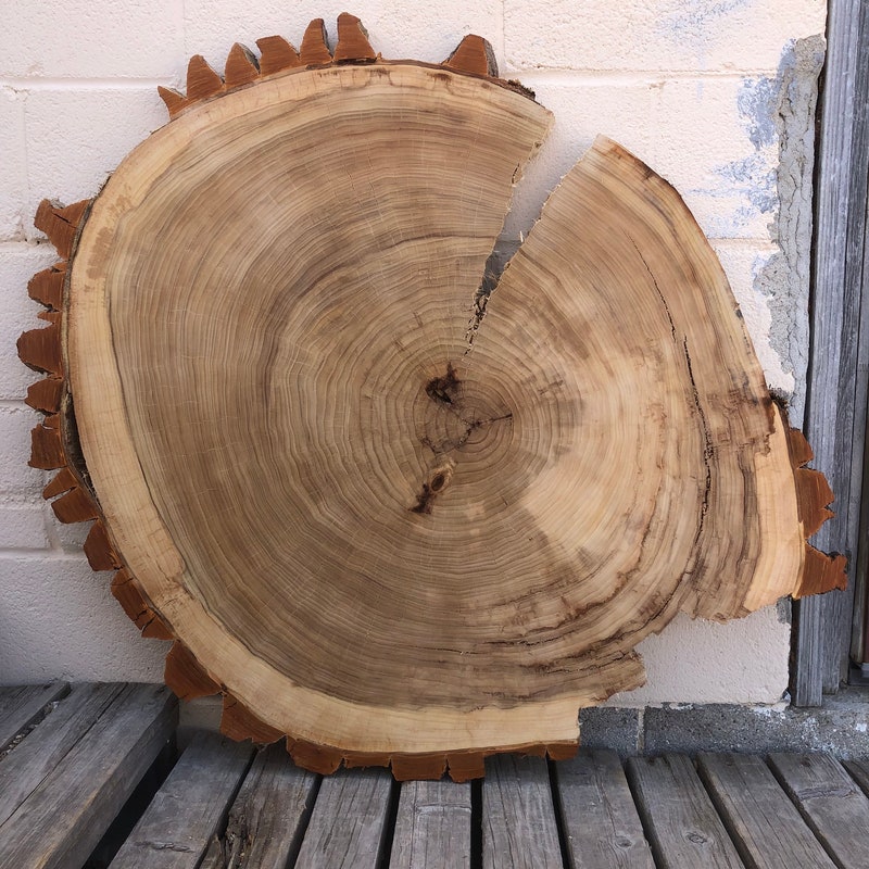 Large Wood Slices - Etsy