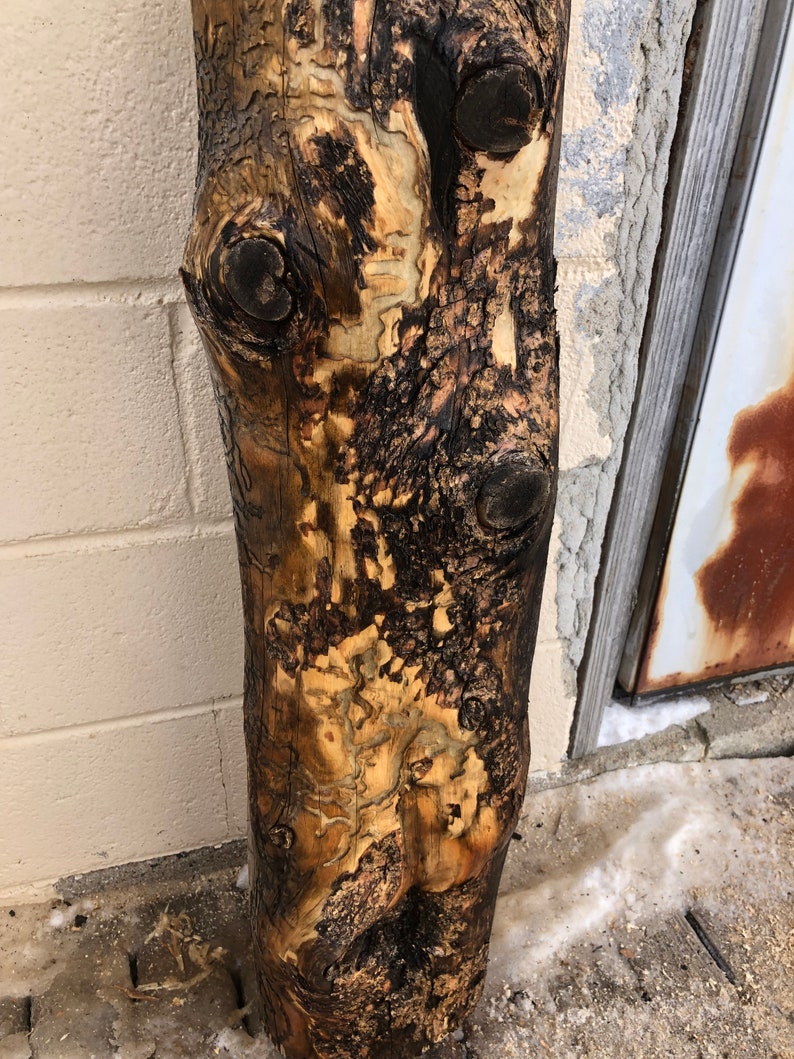 Wood Log With Character, Stylish Rustic Reclaimed Post, Beetle Tracked ...