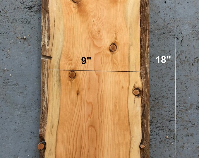 Douglas Fir Live Edge Mini Slabs - Etsy