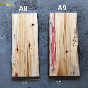 Live Edge Aspen Wood Slabs, Small Slices, Lighter-colored Gold Peach ...