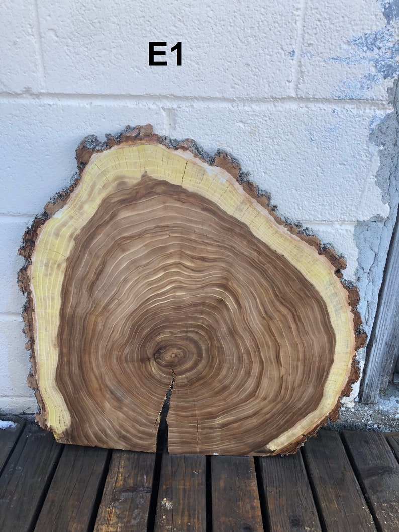 Live Edge Elm Slabs Light Brown Color Cool Grain Patterns - Etsy