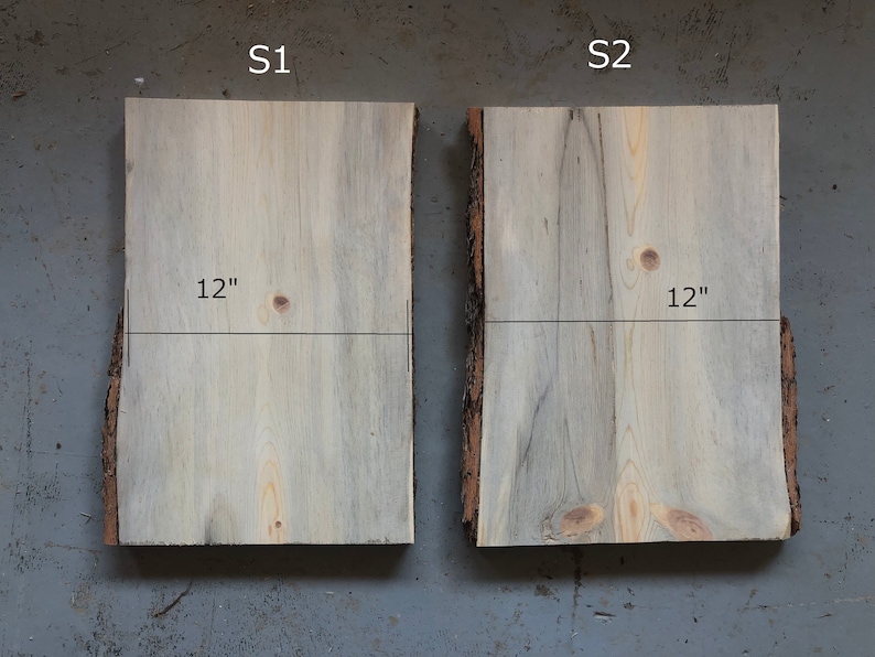 Live Edge Blue Stain Pine Mini Slabs - Etsy