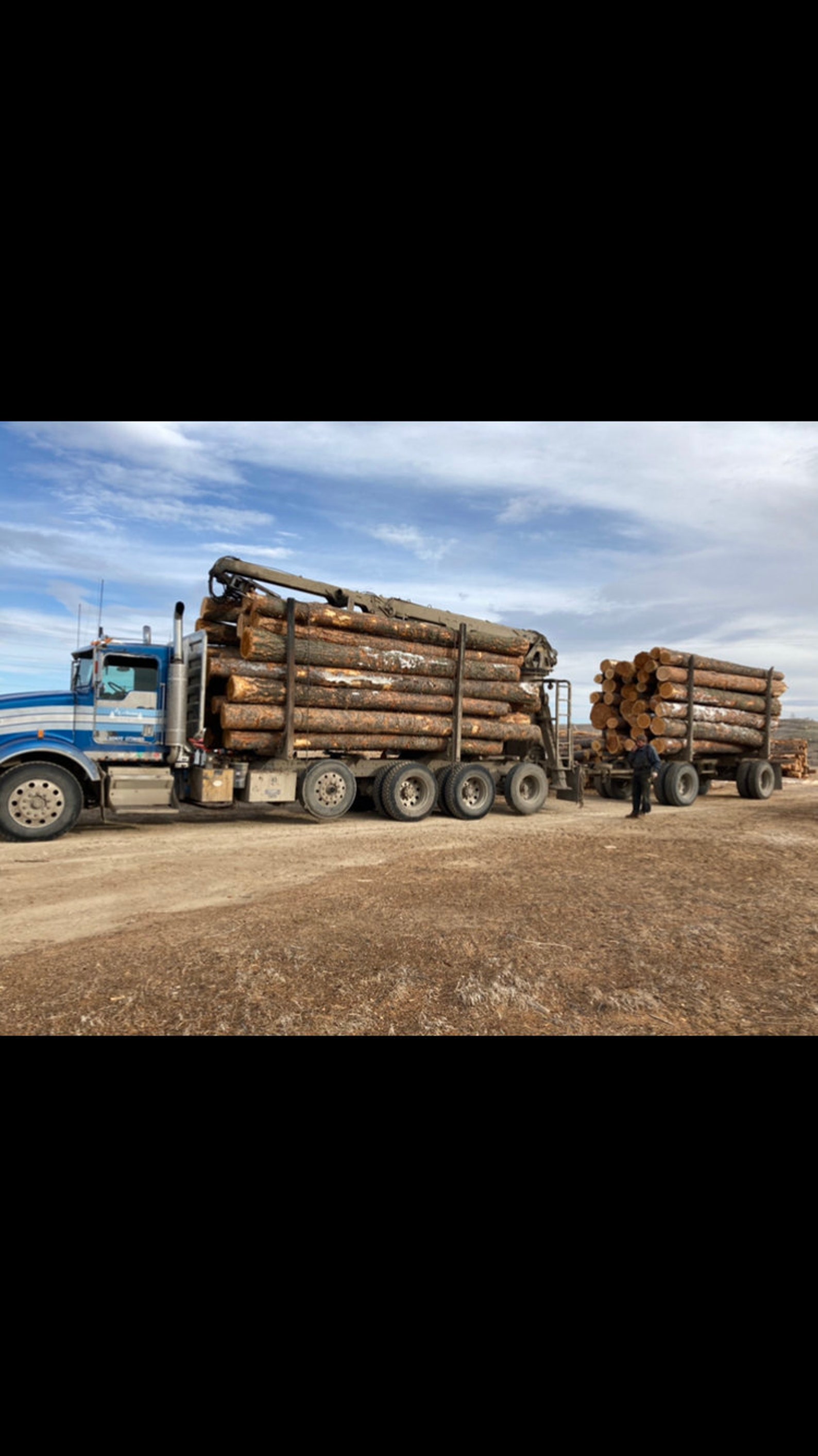 Big Large Thick Wood for Building, Beams, Planks, for Making Stair ...