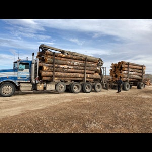 Big Large Thick Wood for Building, Beams, Planks, for Making Stair ...