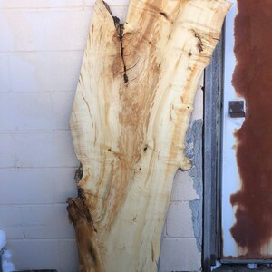 Box Elder Maple Live Edge Slabs, Creamy Lighter Colored Wood, Good Size ...