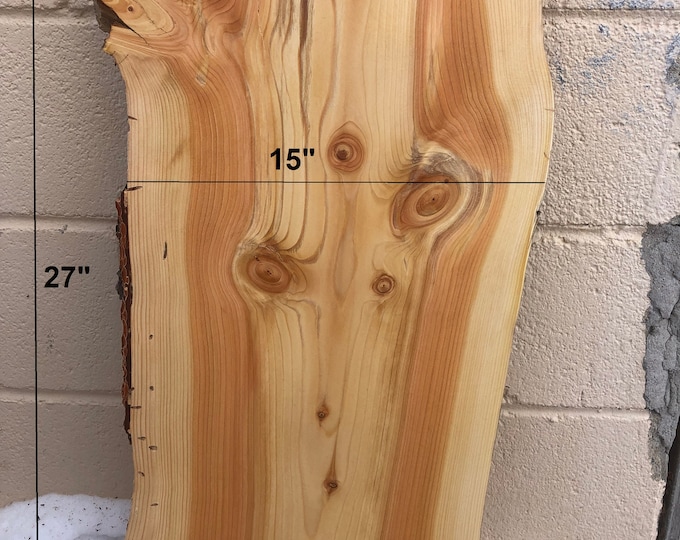 Douglas Fir Live Edge Mini Slabs - Etsy