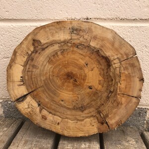 Small Cotton Wood Cookie Slabs, Circles and Rounds, 1 Foot Diamter - Etsy