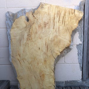 Box Elder Maple Live Edge Slabs, Creamy Lighter Colored Wood, Good Size ...