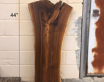 Perfect Live Edge Slabs for Epoxy Projects, Great Color, Dark Grains ...