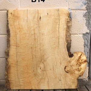 Box Elder Live Edge Slabs, Light Colorful Patterns, Planed Flat ...