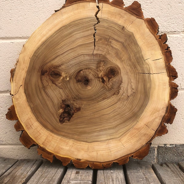 Large Wood Circles - Etsy