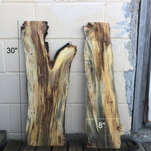 Thin Live Edge Blue Stain Boards - Etsy