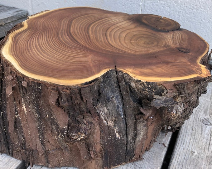 Wood Block, Chunk, Stump for Turning - Etsy