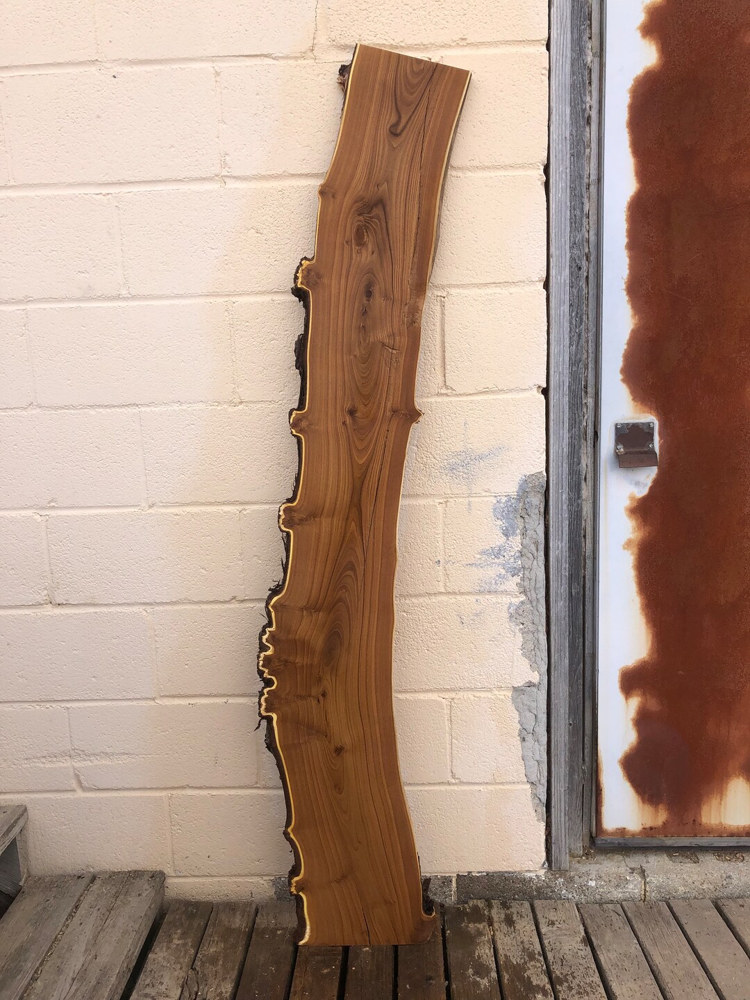Wood Piece Full of Burls, Live Edge Slab, Rustic Funky Look, Dark ...