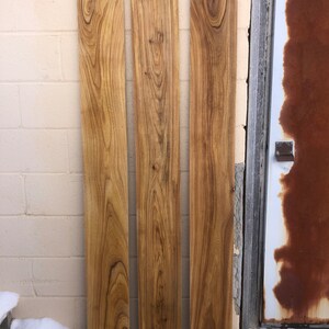 Elm Wood, Open Grained Hardwood, Course Strong Visible Grains, Planks ...