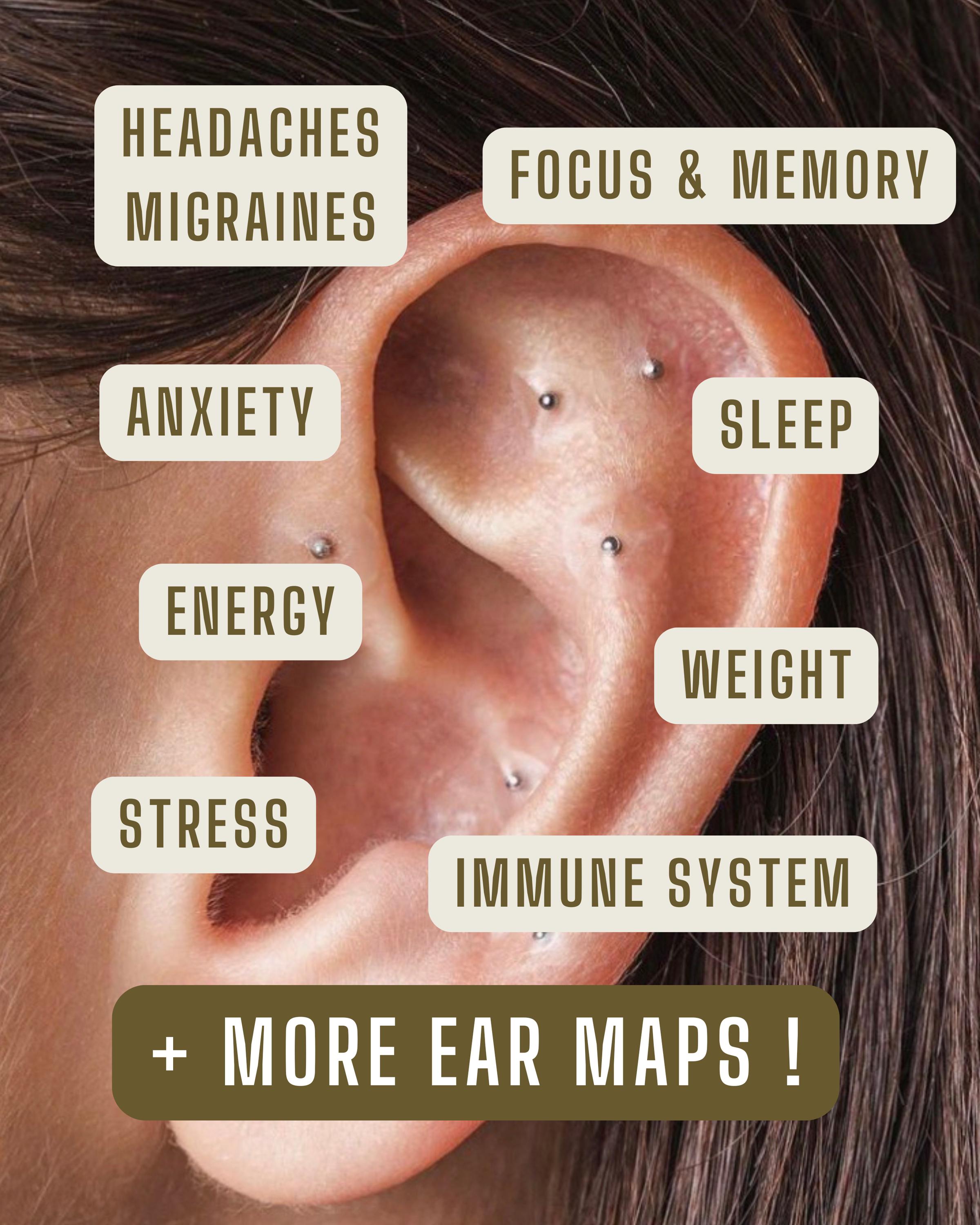 Ear Seeds Maps | Full Instructions & Application Guide | 80 Wellness ...