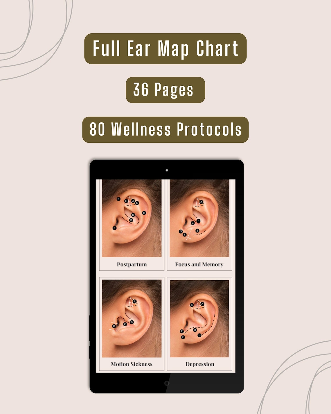 Ear Seeds Maps | Full Instructions & Application Guide | 80 Wellness ...