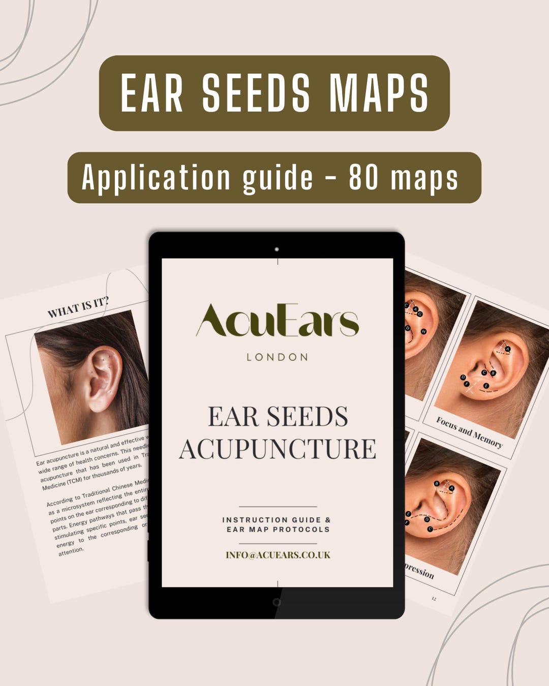 Ear Seeds Maps | Full Instructions & Application Guide | 80 Wellness ...