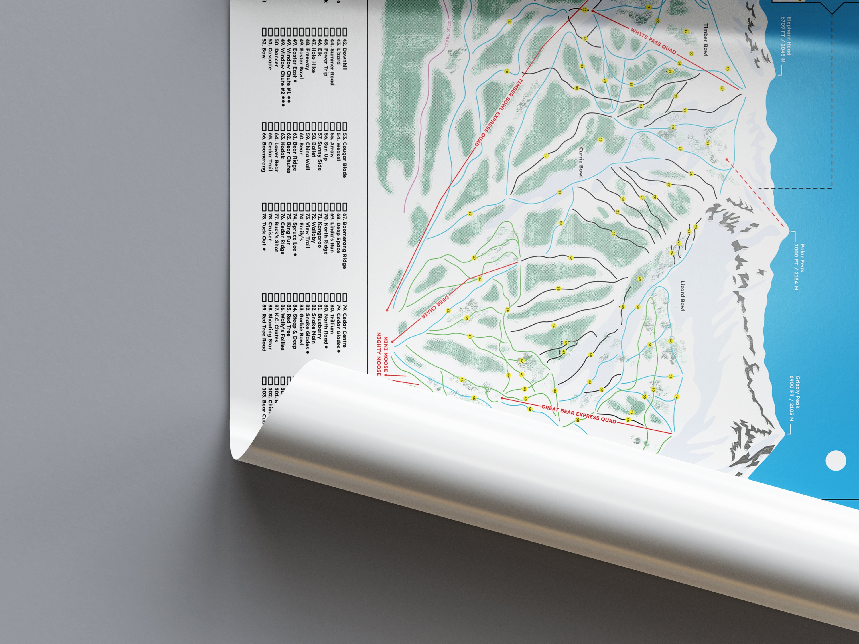 Fernie Alpine Resort Trail Track Map POSTER - Ski Map Wall Art Canada ...