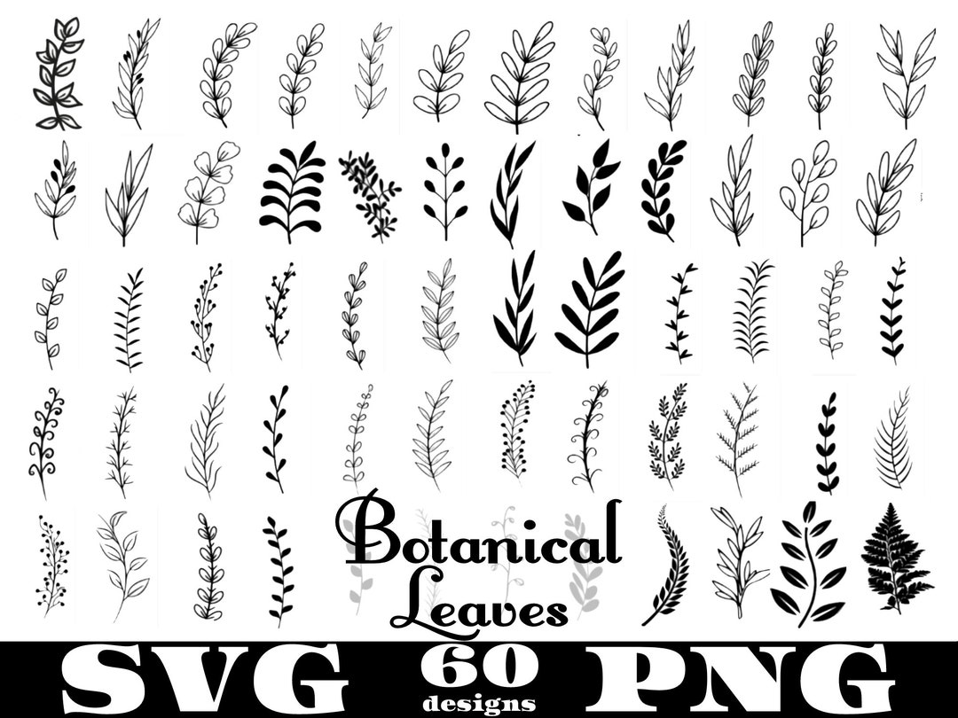 Botanical Leaves SVG Cliparts Collection Botanical Leaves Svg - Etsy