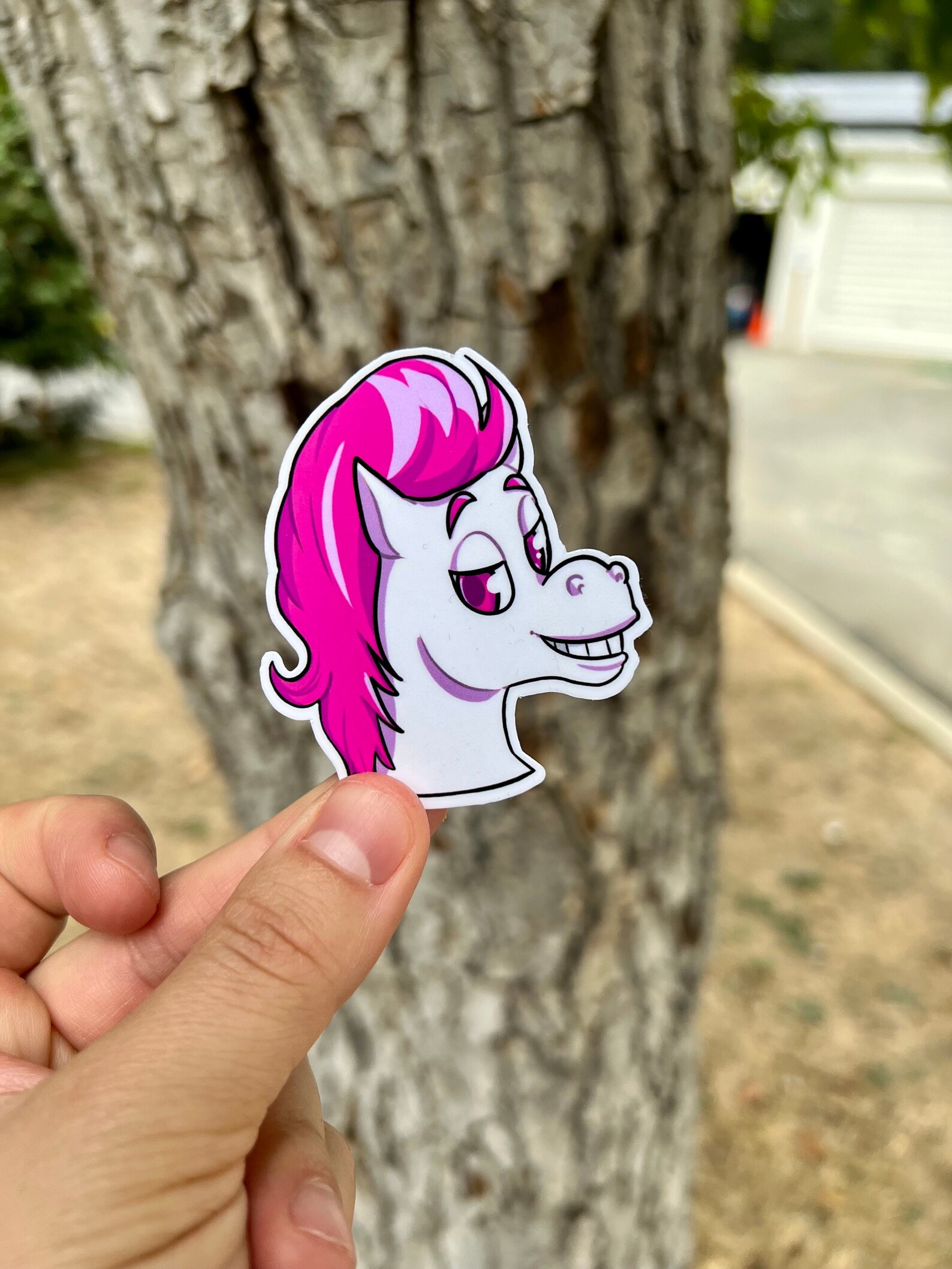 Sus Pony Sticker (waterproof Vinyl Sticker) - Etsy