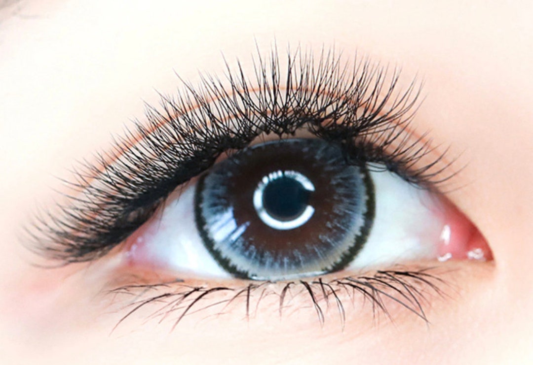 MIX W Shape 3D 4D 5D 6D Lashes (8 -13mm) (18 - 15mm) Premade Fan Lash 0 ...