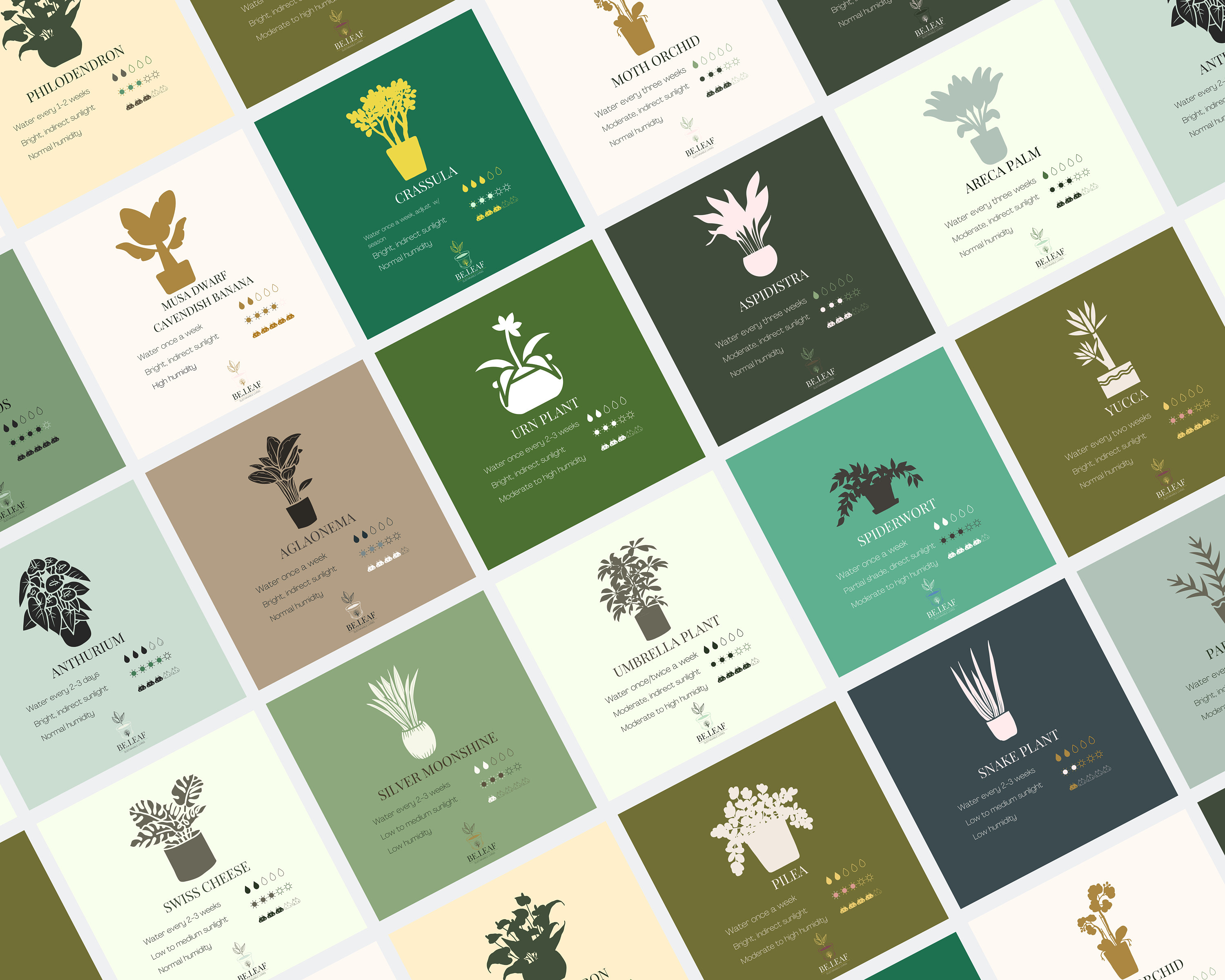Plant Care Card Templates | Garden Care Cards Label | Plant Care ...