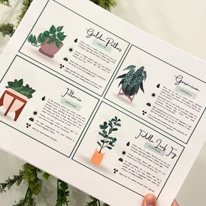 Houseplant Plant Care Cards | Plant Label | Printable | Common ...