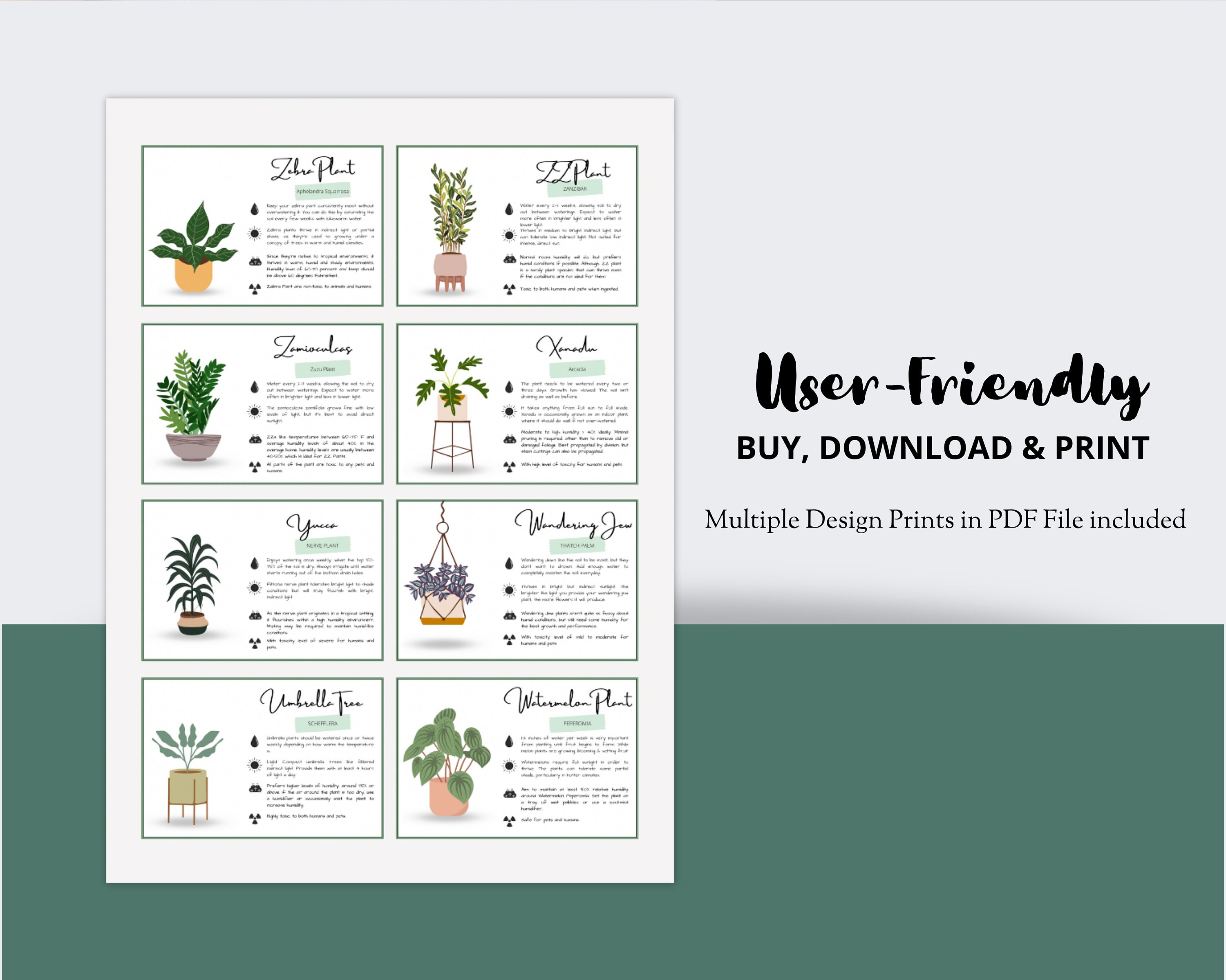 Editable Plant Care Cards | Plant Label | Printable Plant Tags | Common ...