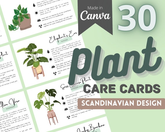 Houseplant Plant Care Cards Plant Label Printable Common - Etsy