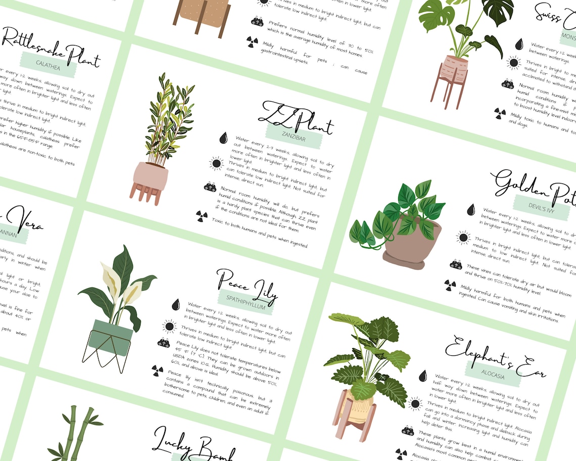 Houseplant Plant Care Cards Plant Label Printable Common - Etsy