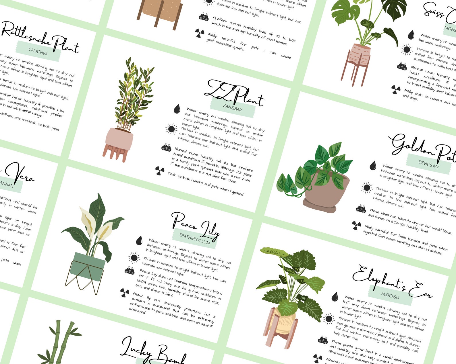 Houseplant Plant Care Cards Plant Label Printable Common - Etsy