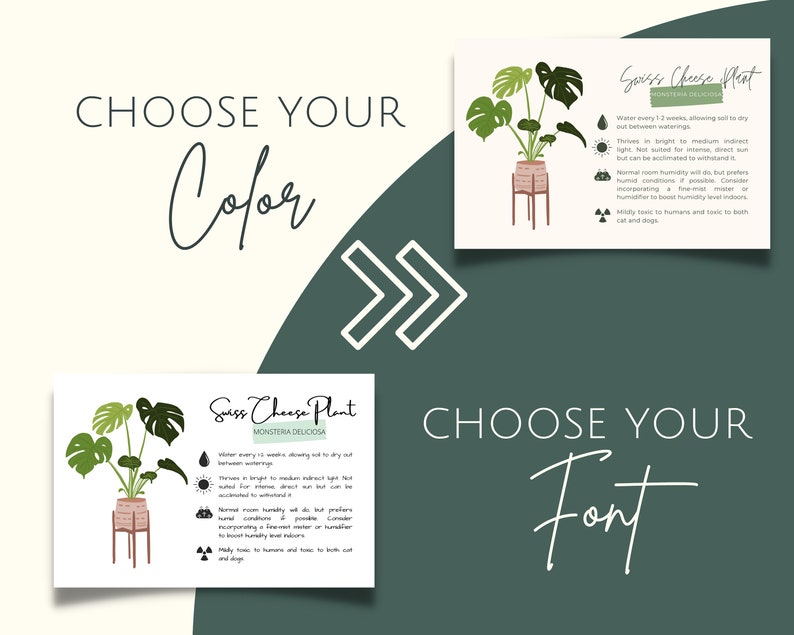 Houseplant Plant Care Cards | Plant Label | Printable | Common ...