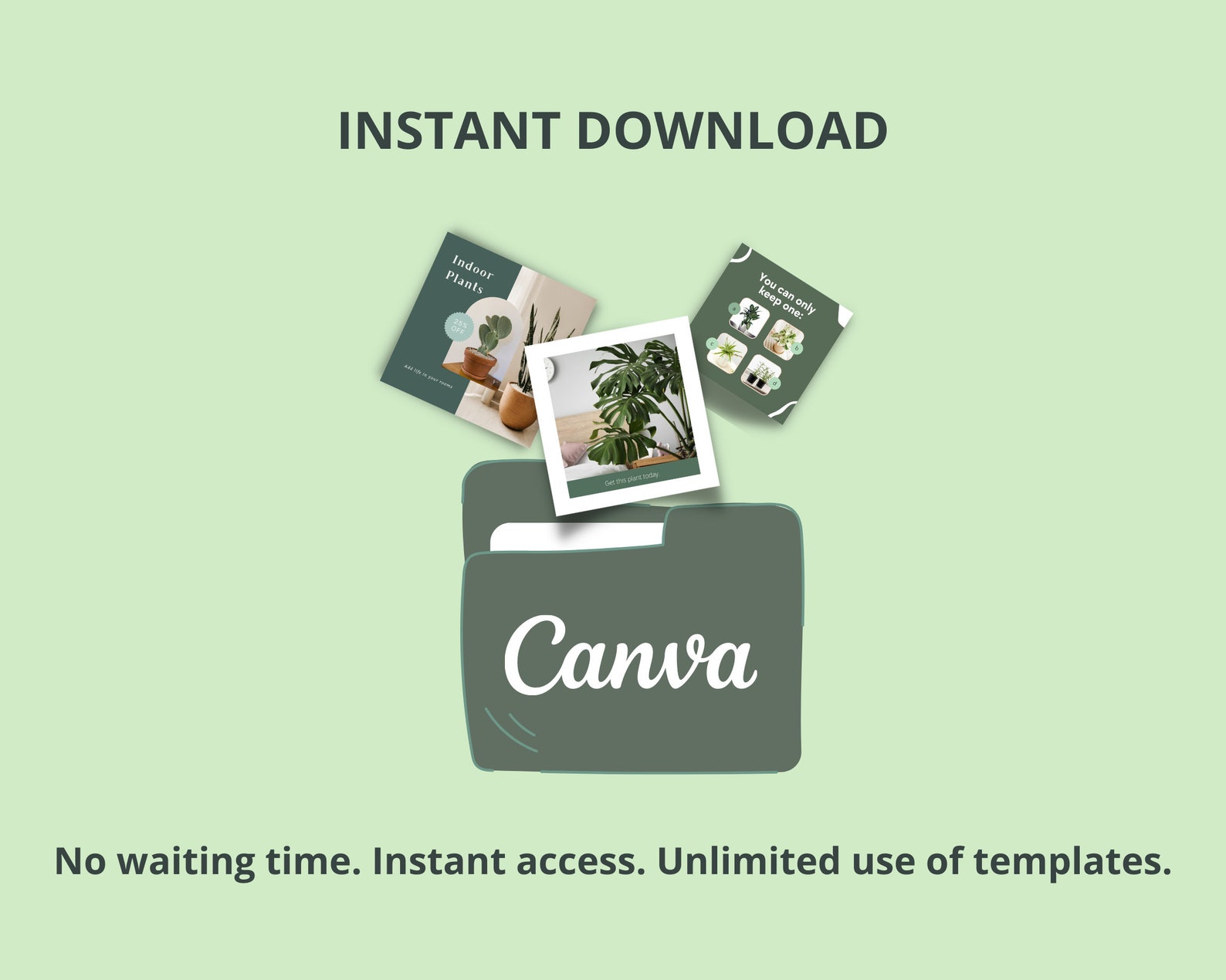 Houseplant Plant Care Cards Plant Label Printable Common - Etsy