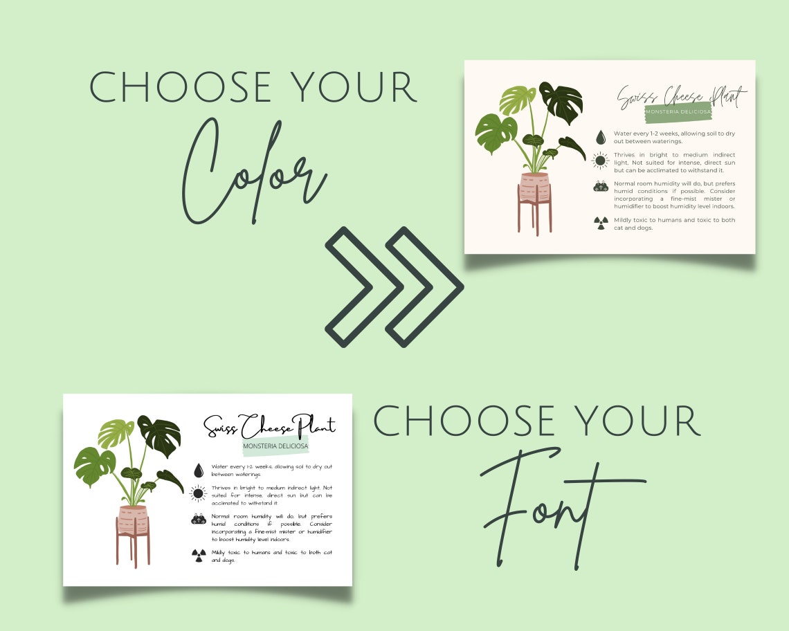 Houseplant Plant Care Cards Plant Label Printable Common - Etsy
