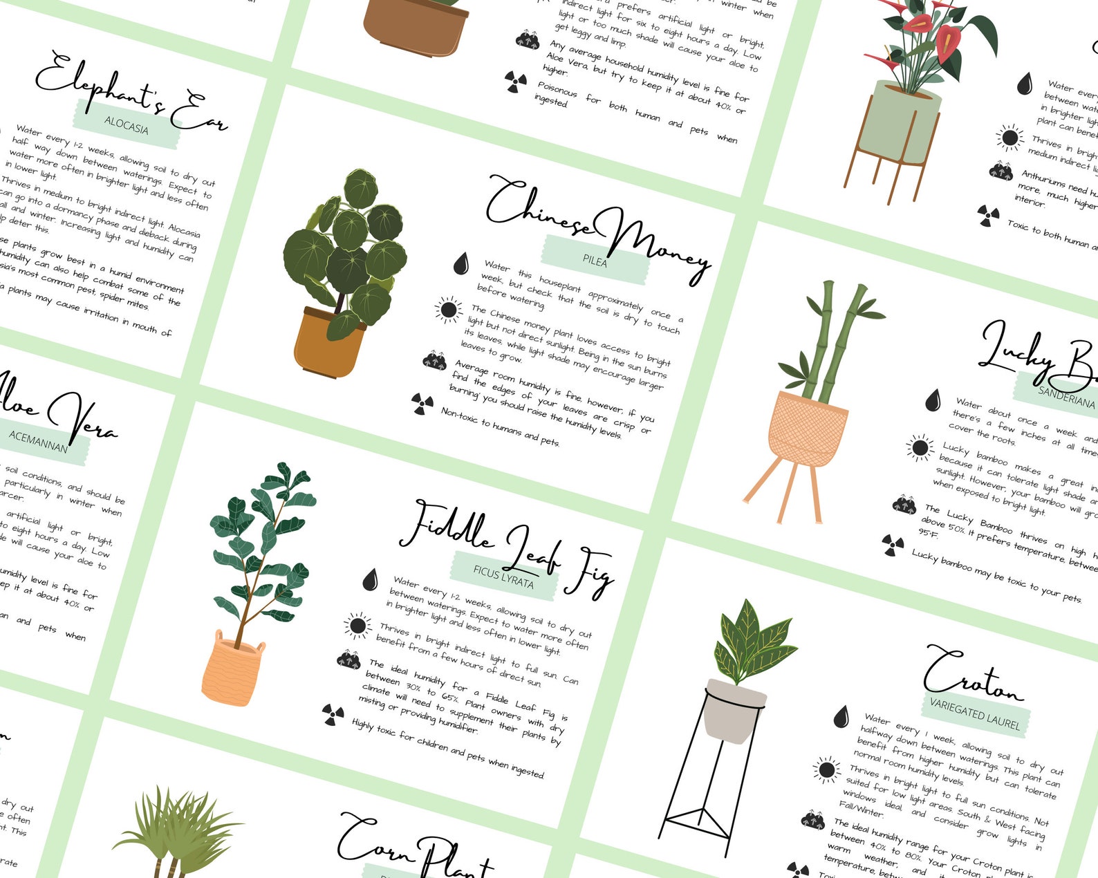 Houseplant Plant Care Cards Plant Label Printable Common - Etsy