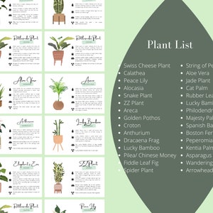Houseplant Plant Care Cards Plant Label Printable Common - Etsy