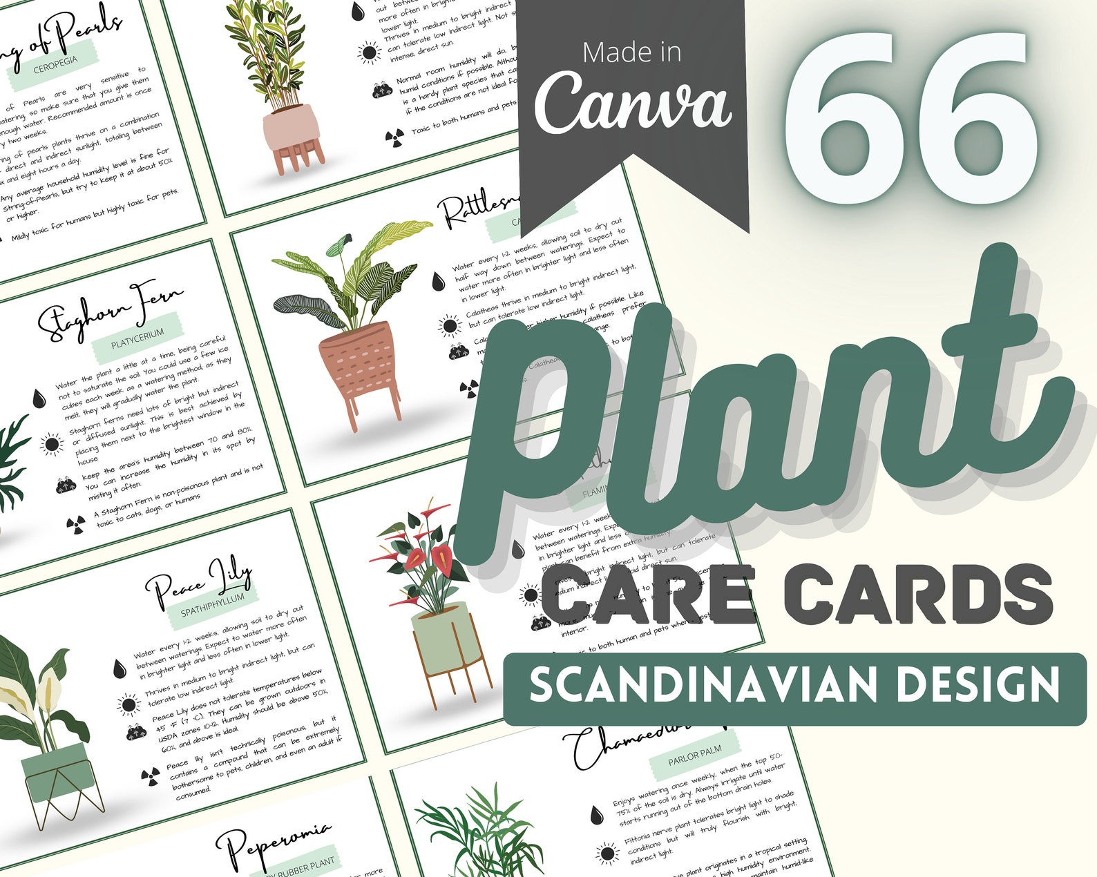 Houseplant Plant Care Cards Plant Label Printable Common Houseplants ...