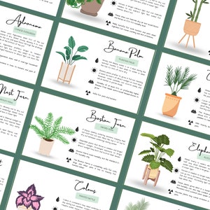 Houseplant Plant Care Cards | Plant Label | Printable | Common ...