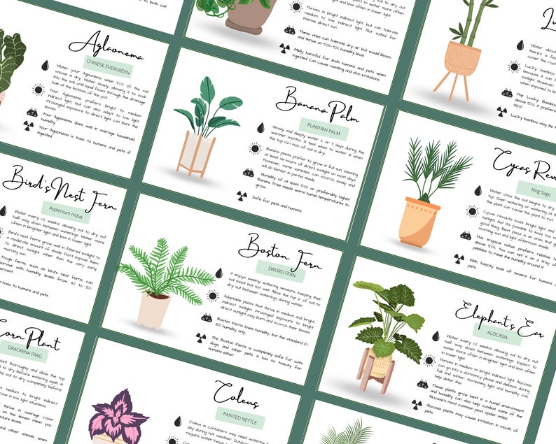 Houseplant Plant Care Cards | Plant Label | Printable | Common ...