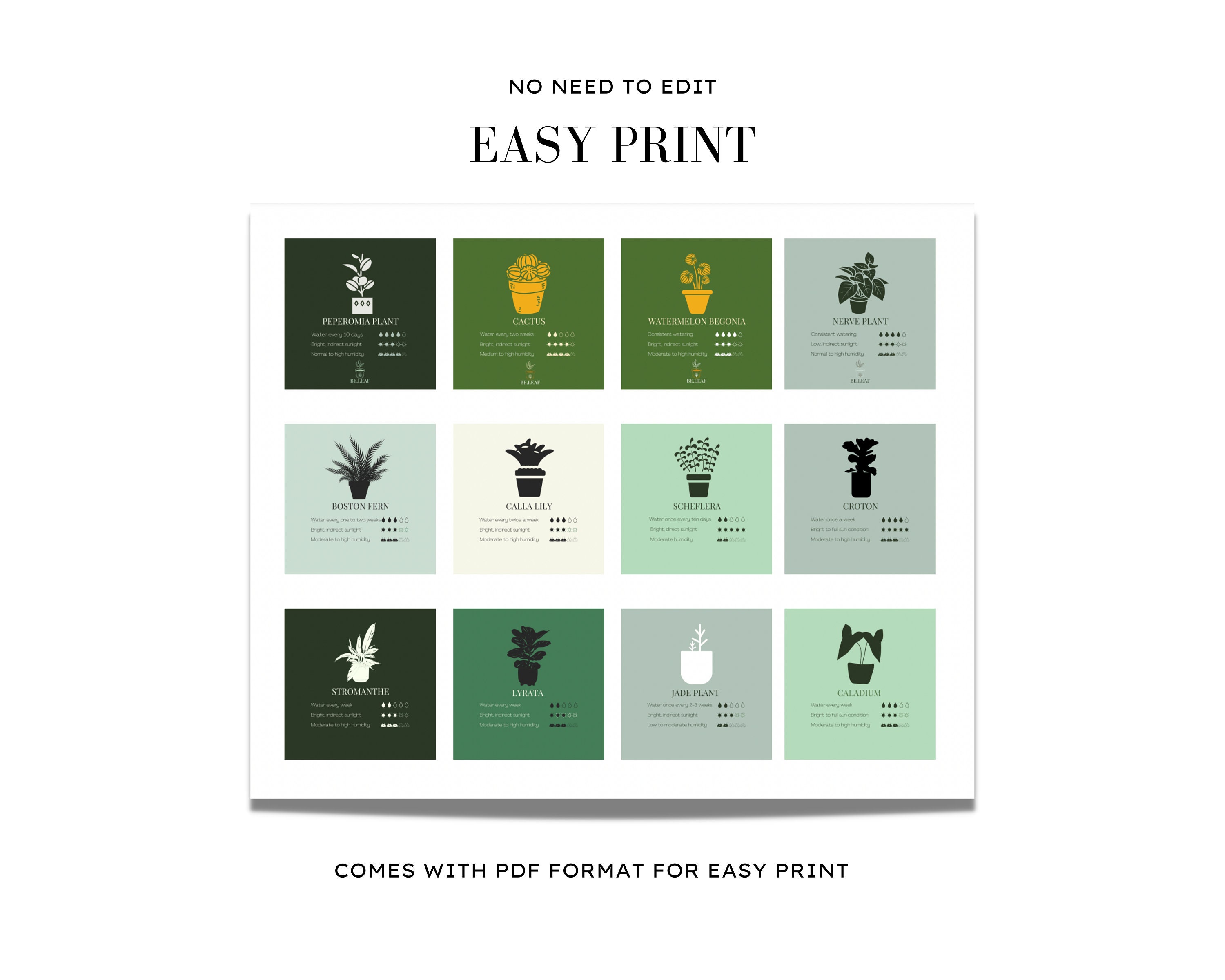 Plant Care Card Templates | Garden Care Cards Label | Plant Care ...