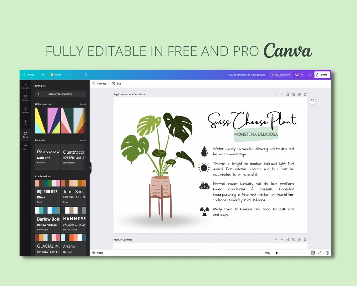 Houseplant Plant Care Cards Plant Label Printable Common - Etsy