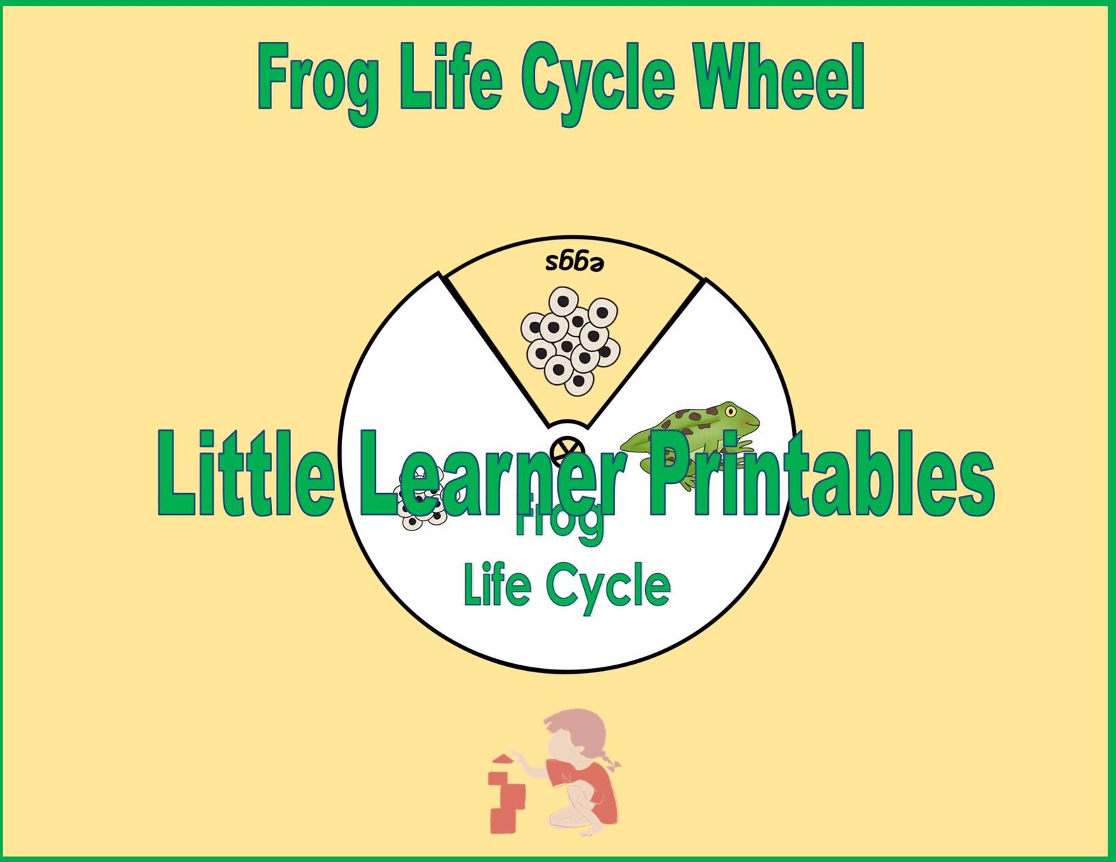 Frog Life Cycle Wheel - Etsy